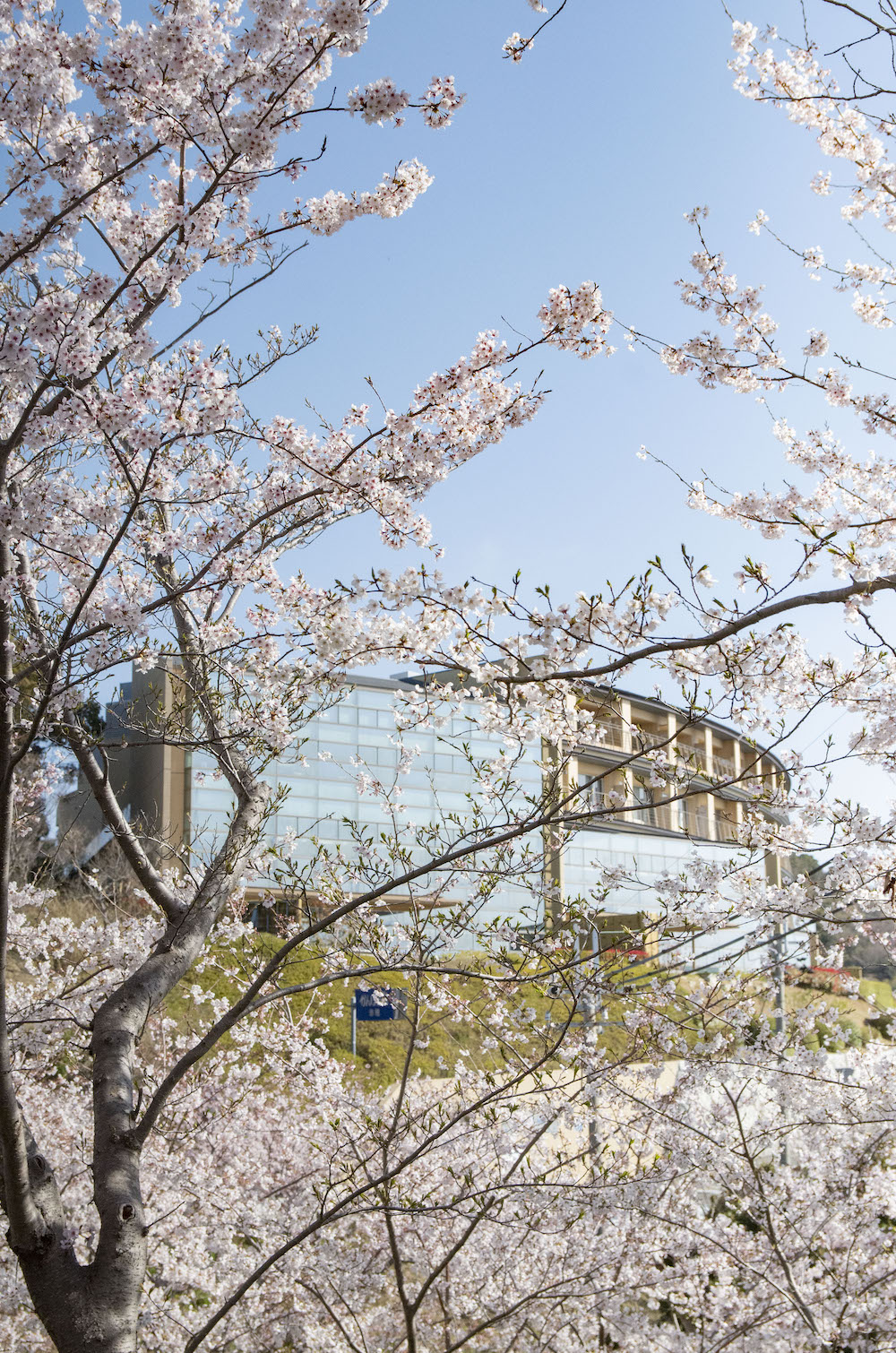 【兵庫県・赤穂市】まるはり亀の井ホテル赤穂（旧かんぽの宿赤穂）写真撮影 - Ropeth/ロペス